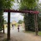 Family Fun and Nature at Attingham Park - Dayoutplans