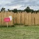 Family Fun and Nature at Attingham Park - Dayoutplans