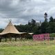 Family Fun and Nature at Attingham Park - Dayoutplans