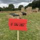 Family Fun and Nature at Attingham Park - Dayoutplans